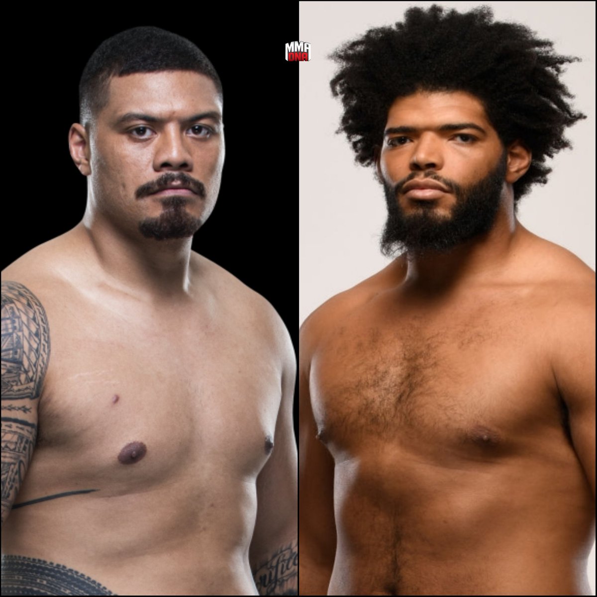 UFC 247: Preview and predictions | Marylandsportsblog.com