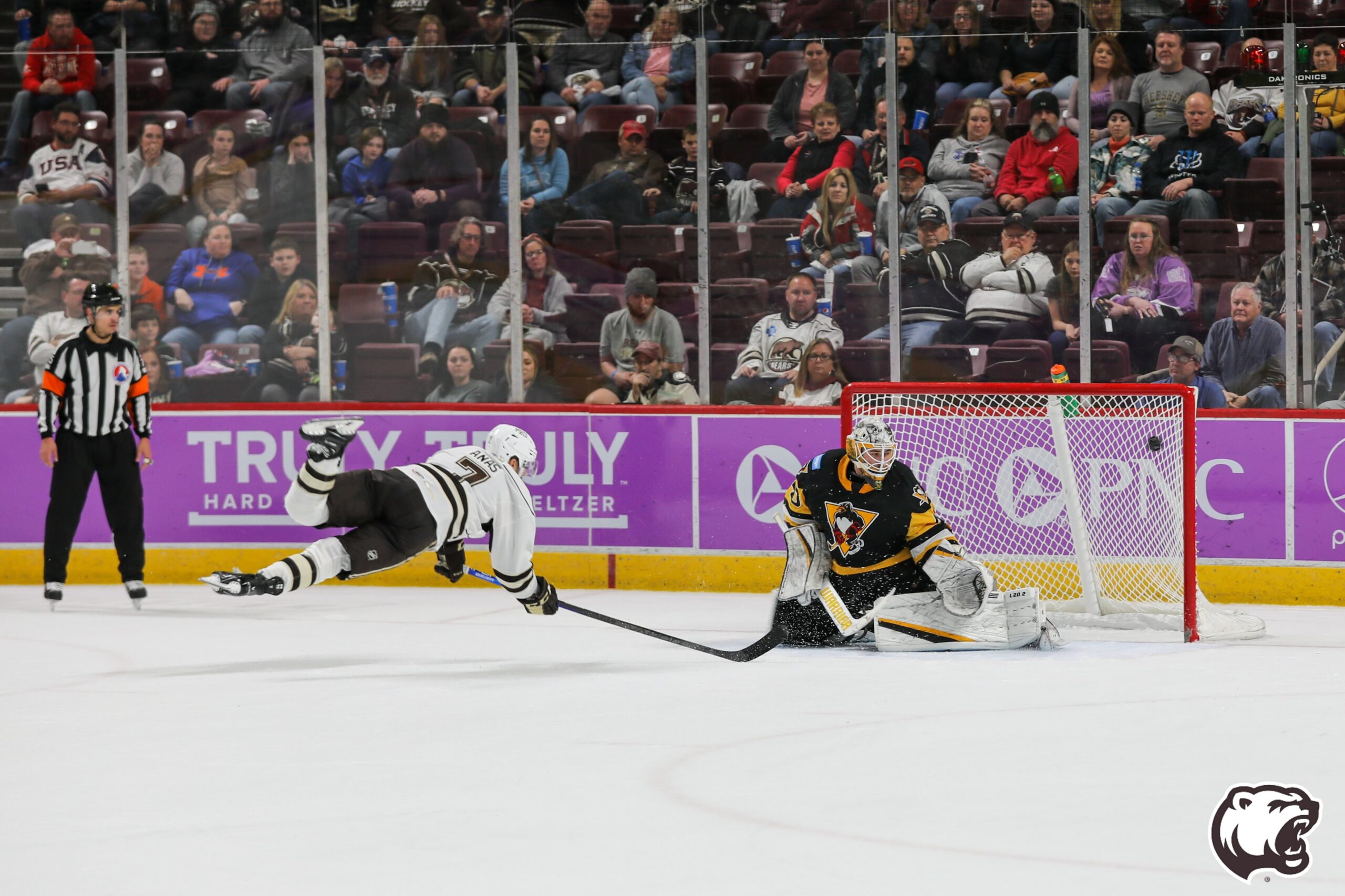 Bears Defeat Penguins in Hershey | Marylandsportsblog.com